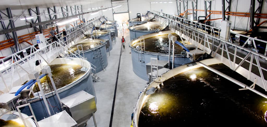 Leverandør av oppdrettskar til Akvakultur industrien - HighComp